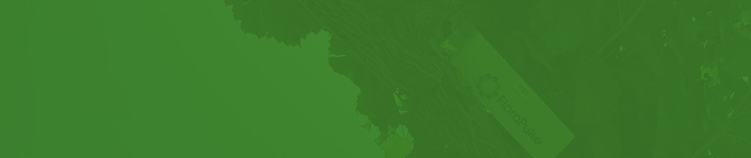 About US | FloraPulse