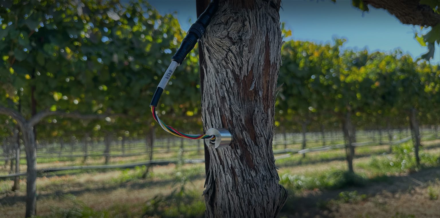 FloraPulse | Plant-based irrigation sensors